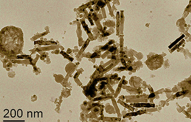 Health risk of nanoparticles in seafood being investigated | SeafoodSource