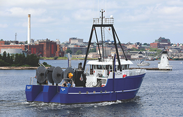 Blue Harvest Fisheries expands groundfish fleet | SeafoodSource