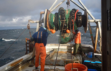 New England groundfish fleet faces cod, haddock challenges | SeafoodSource