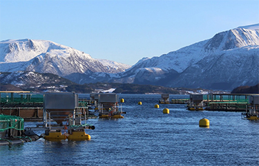 Nordic Halibut secures USD 18 million via oversubscribed private ...