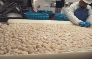 Raw Seafoods wants Americans to regain trust in their seafood ...