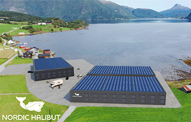 Nordic Halibut gets approval for land-based hatchery, farm in ...