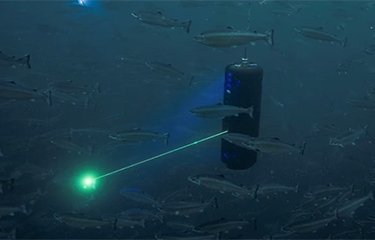 Cermaq adding lasers to its suite of sea lice prevention methods ...