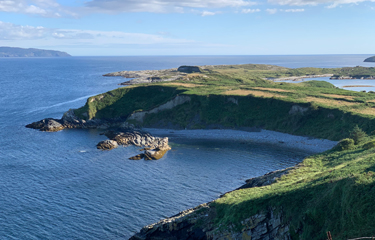 Mowi Ireland gets go-ahead for Irish farming license, over NGO ...