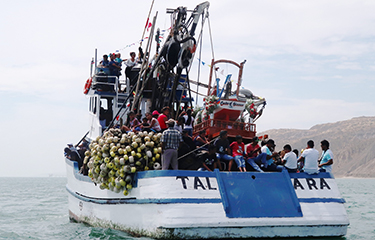 Global Seafood Alliance, FishChoice collaborate to increase FIP ...