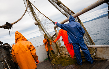 NOAA extends deadline for nations seeking to validate marine mammal ...
