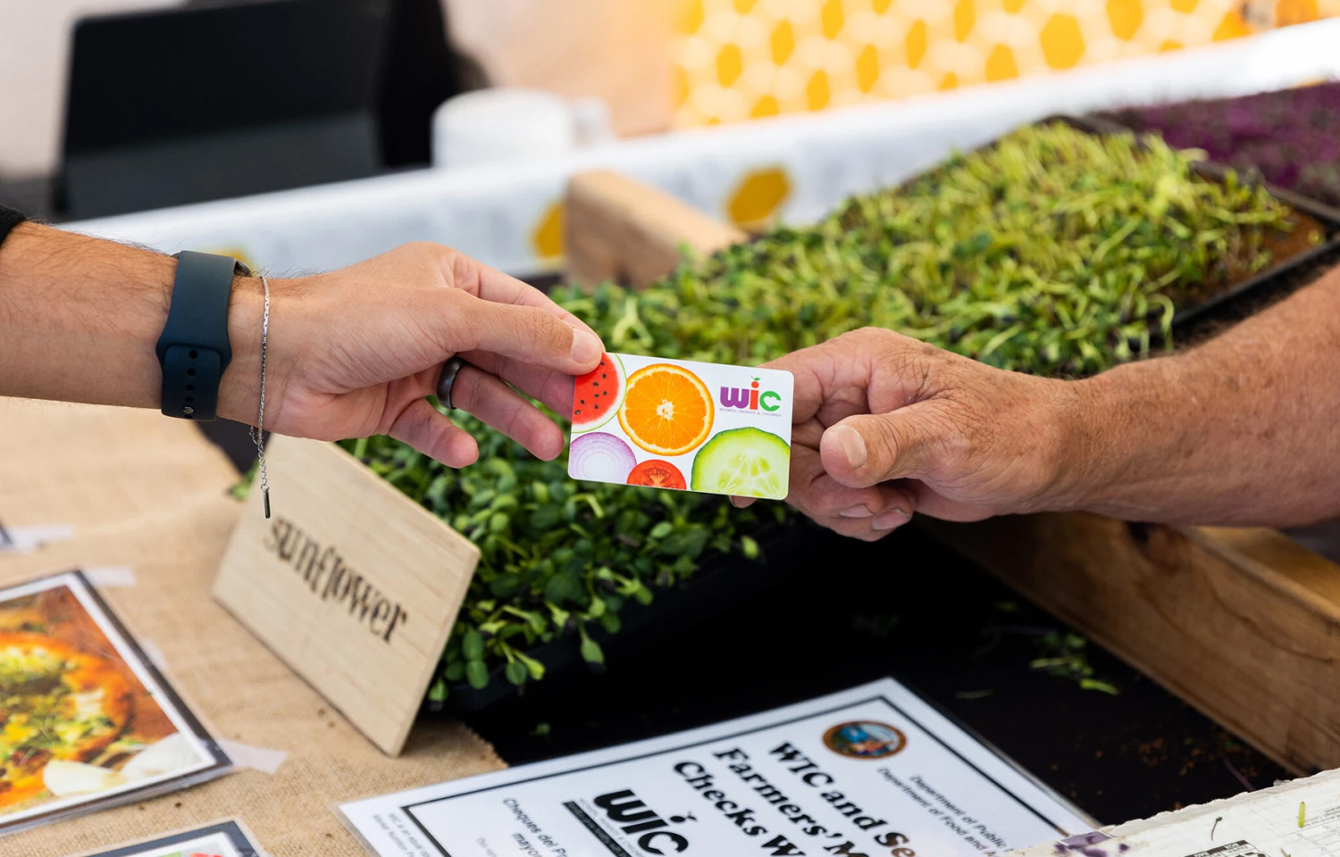 USDA updates SNAP rules to include more seafood | SeafoodSource