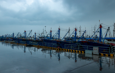 Fujian Province offers new subsidies to its large distant-water fishing ...