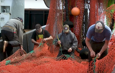 First fleets complete FISH Standard for Crew audits | SeafoodSource