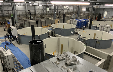 Proximar nets JPY 8.8 billion loan for RAS salmon farm in Japan ...