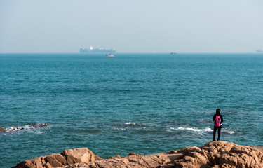 China to trial offshore fish-wind farms integrated with aquaculture