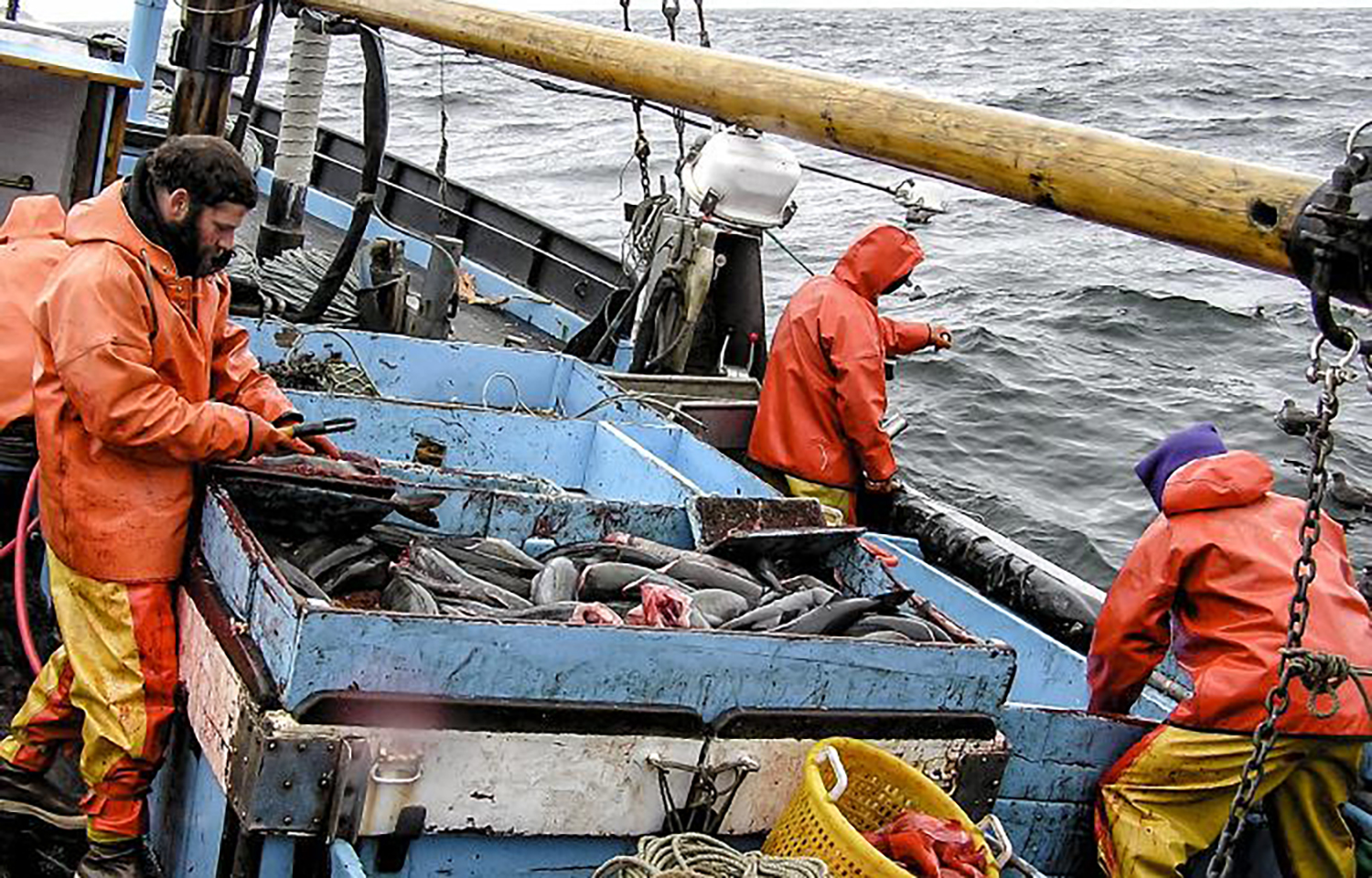 Human Rights at Sea report sets recommendations for prioritizing and ...