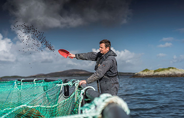 BioMar earnings up in Q2, but company slightly lowers revenue guidance ...