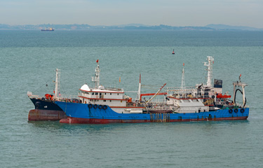 Qingdao distant-water fleet grew 17-fold in past eight years ...