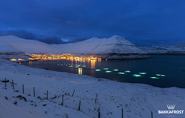 More first-quarter Faroese salmon for Bakkafrost, Scottish harvest ...