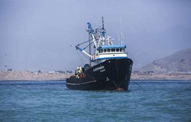 Peru kicks off south region anchovy fishing season | SeafoodSource
