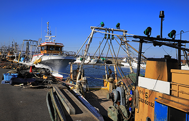 Japan’s top fishing port feeling effects of rising sea surface ...