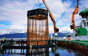 Cermaq’s iFarm project enters third phase | SeafoodSource