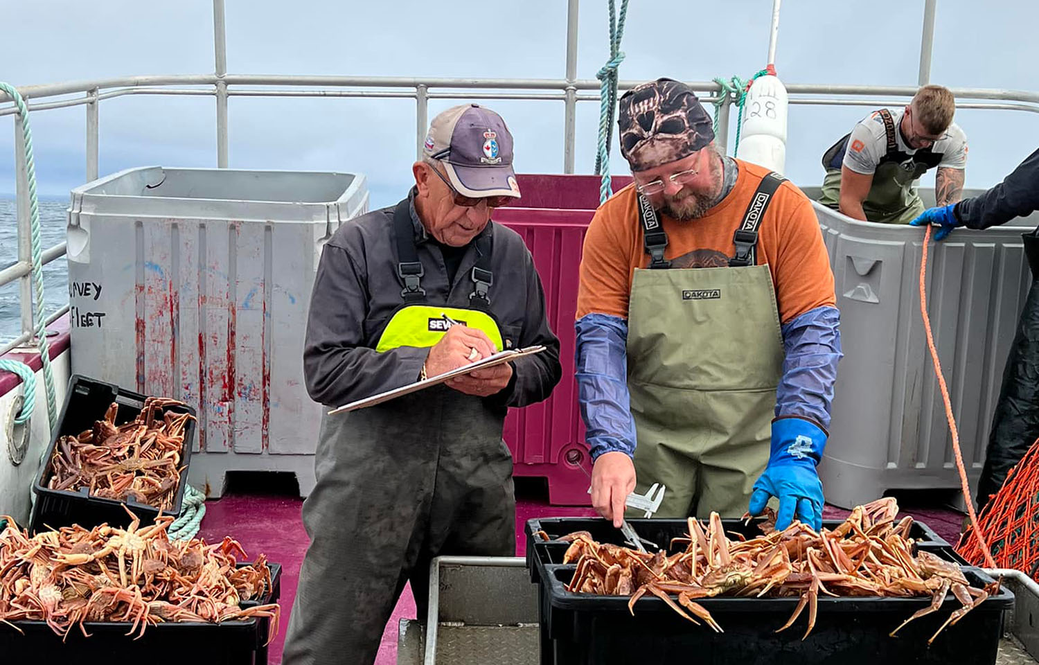 Newfoundland picks processors' pricing for snow crab, grants expanded ...