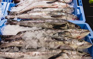 US West Coast Pacific whiting fishery achieves RFM certification ...