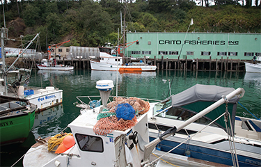 Purchase of Caito Fisheries advances Southwind Foods' acquisition ...