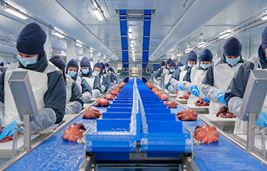 Profand’s EBITDA sunk 19 percent in 2022, nears EUR 1 billion in sales ...