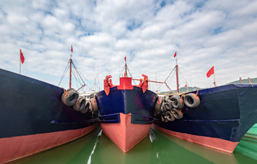 Guangdong doubling down on distant-water fishing as economic driver ...