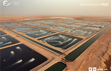 Blue Aqua, Fisheries Development Oman collaborate on aquaculture ...
