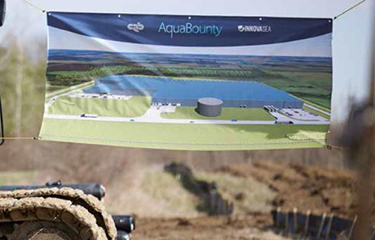 AquaBounty gets new water permit for planned Ohio RAS | SeafoodSource