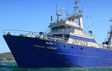 Sea Harvest’s 2019 performance remains in positive territory ...