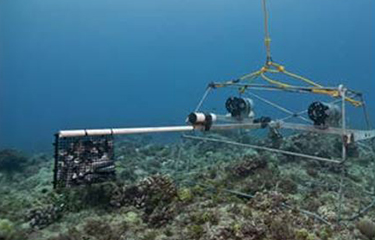 Underwater video systems deployed in Mediterranean to study MPA impacts ...