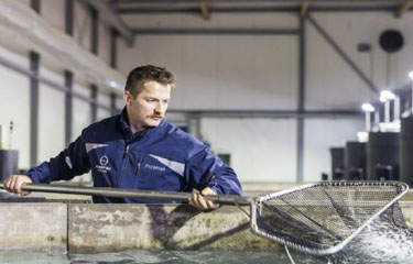 The Kingfish Company reports higher production and sales, but EUR 6.3 ...