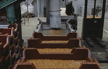 Ÿnsect planning large-scale insect farm in US | SeafoodSource