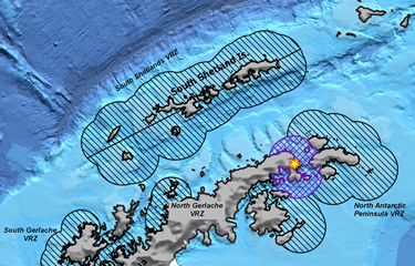 Krill fishing halted in penguin-rich habitat near Antarctica ...