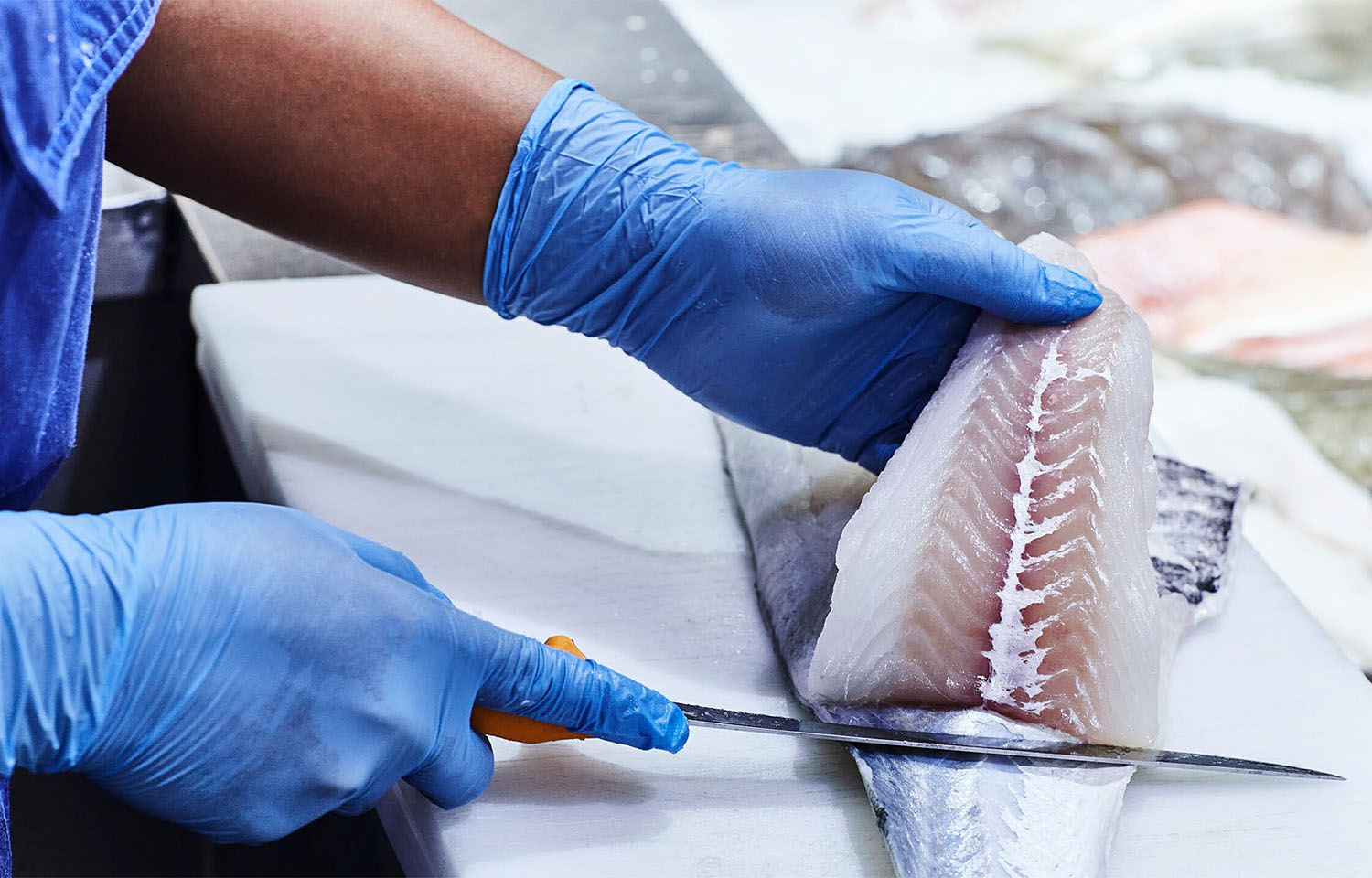 Norcod subsequent offering nets USD 230,000 | SeafoodSource