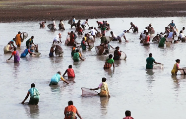 Odisha unveils new scheme to increase fish production