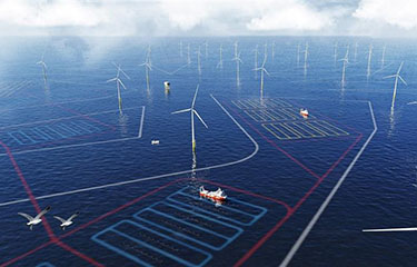 Amazon enters seaweed farming with North Sea project | SeafoodSource