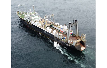 Two processing vessels operated by PPLP achieve FISH certification ...