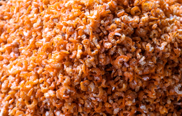 Japan’s Takesho Food to build shrimp byproducts processing plant in ...