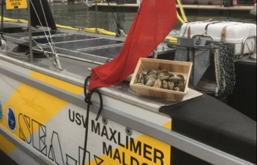Unmanned, remote-controlled cargo ship exports UK oysters | SeafoodSource