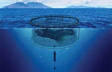 Innovasea debuts new submersible fish pen | SeafoodSource