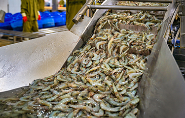US International Trade Commission gives green light to shrimp import ...