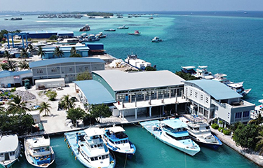 Big Fish Maldives becomes country's top yellowfin tuna exporter ...