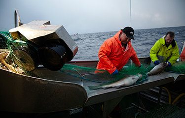 Norway, Russia agree on reduced cod quotas | SeafoodSource