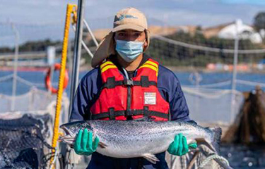 Salmones Camanchaca’s Q1 2023 net earnings surge nearly 390 percent ...