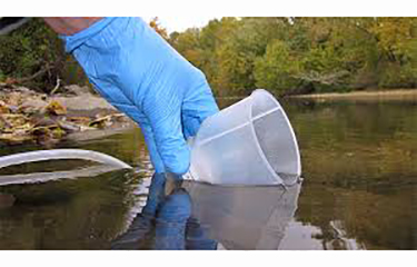 Japanese studies advance use of eDNA in estimating fish populations ...