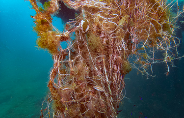 Abandoned fishing gear must be included in Global Plastics Treaty ...