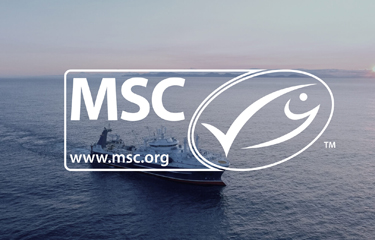 MSC's new fisheries standard unanimously approved by trustees ...