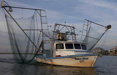 NOAA finalizes TED rule for shrimp skimmer trawls | SeafoodSource