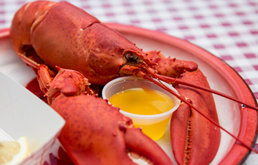 Special offers abound in US for National Lobster Day and Maine Lobster ...